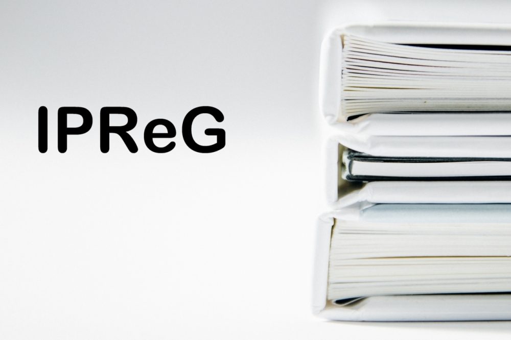 Online-Workshop - IPReG Herausforderungen und Chancen ...